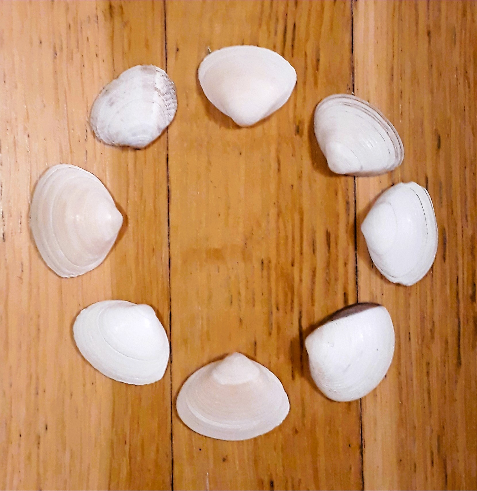 Listening exercises for conversation circles – TELLUSELLE LIVING CENTER